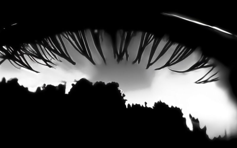 Catchlight Reflections Overlays