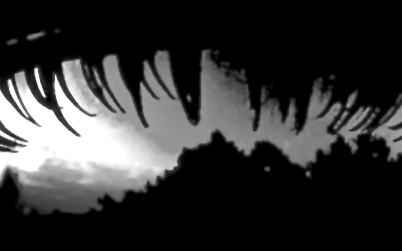 Catchlight Reflections Overlays