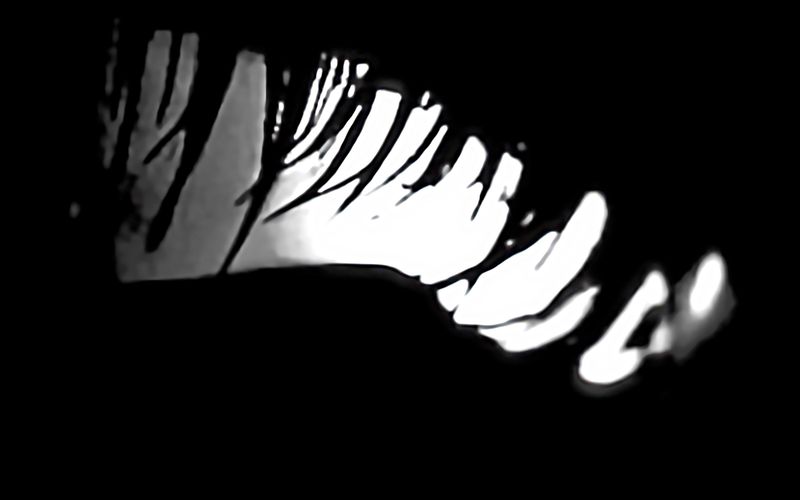 Catchlight Reflections Overlays