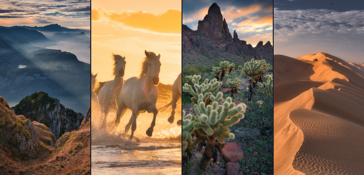 Max Rive photographer | Luminar Marketplace