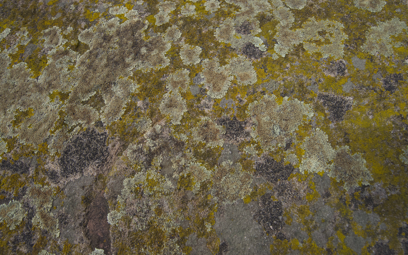 Gritty Urban Textures Overlays