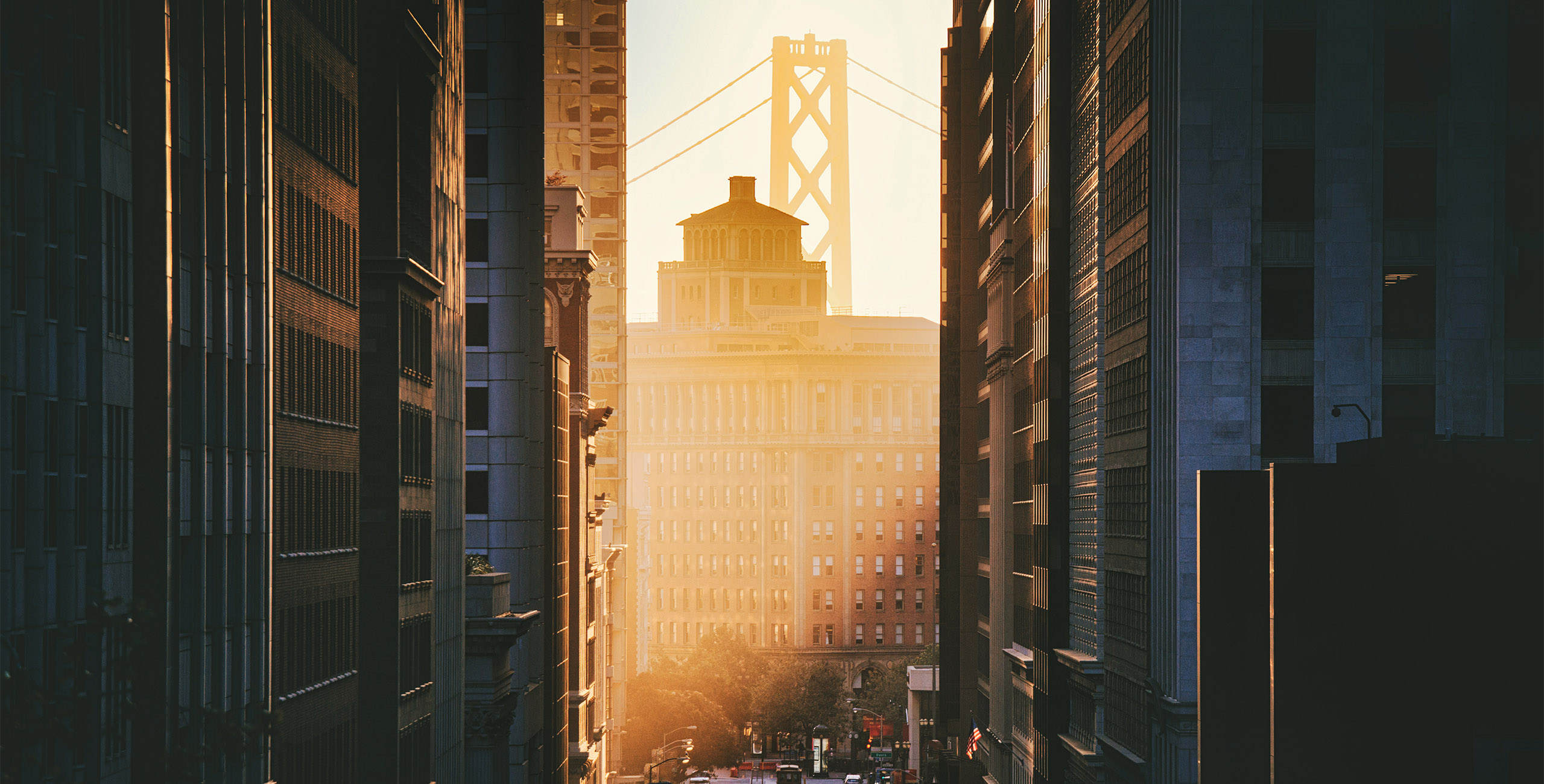Perfect Photowalks Presets