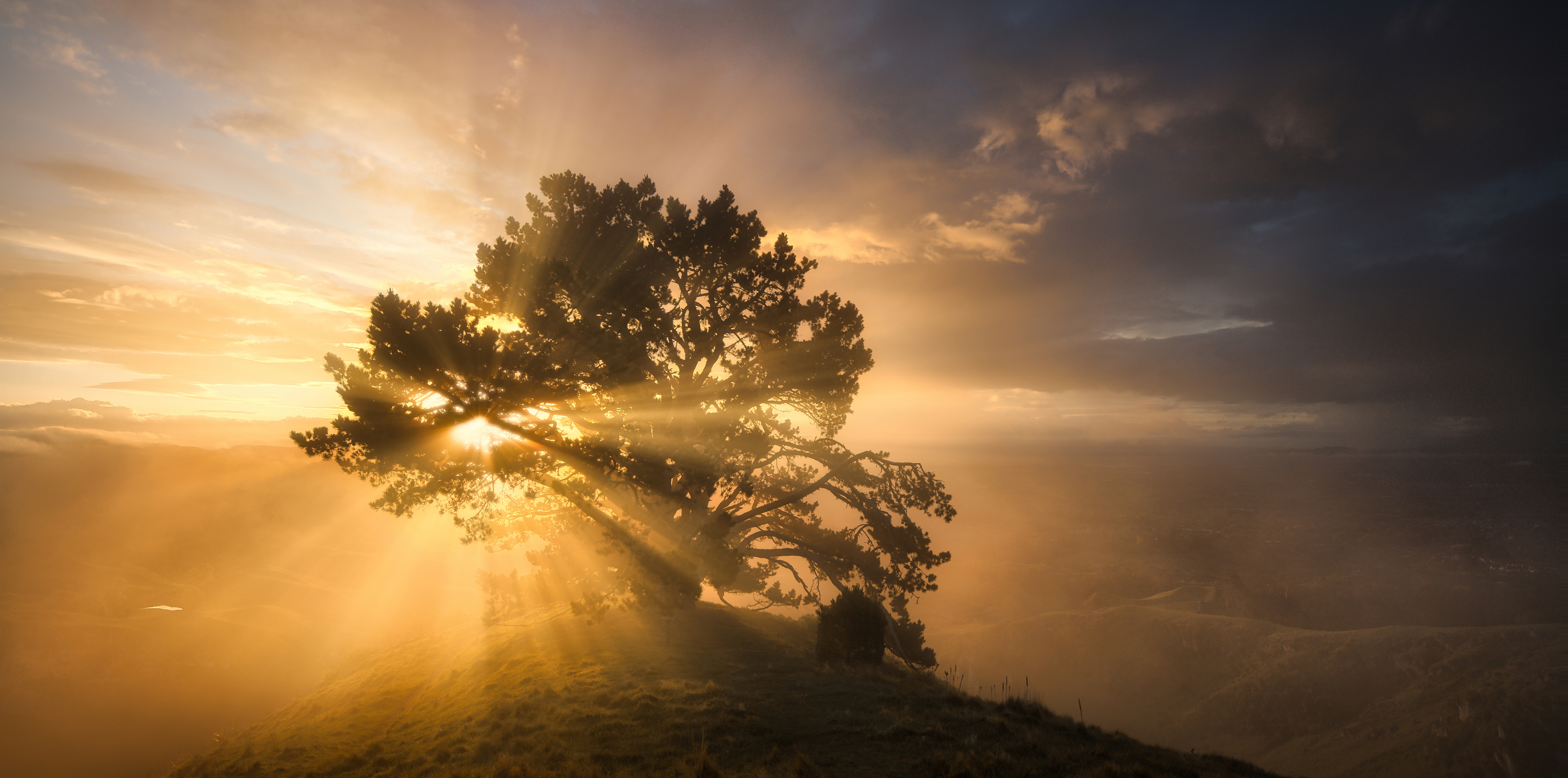 Photo Editing Classes: Buy Photography Editing Courses | Luminar ...