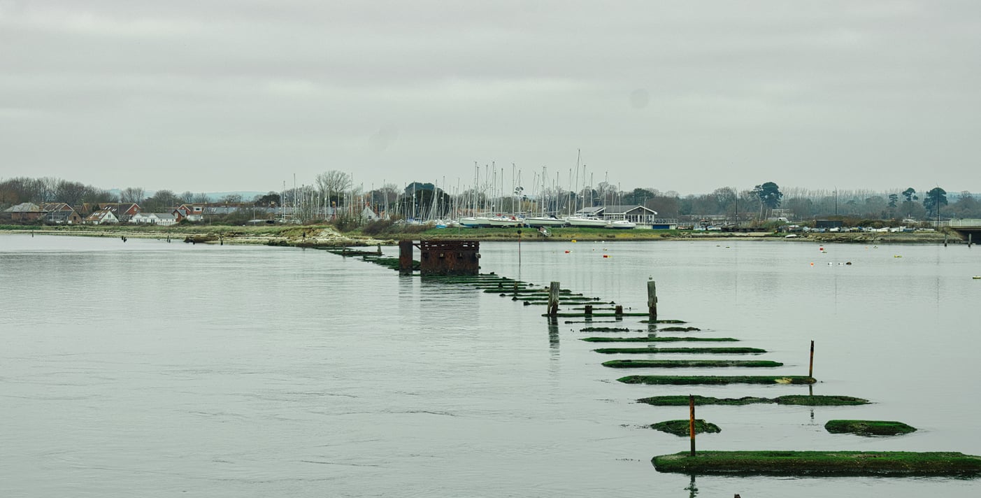 Electric Elegance Presets for Luminar | Marketplace