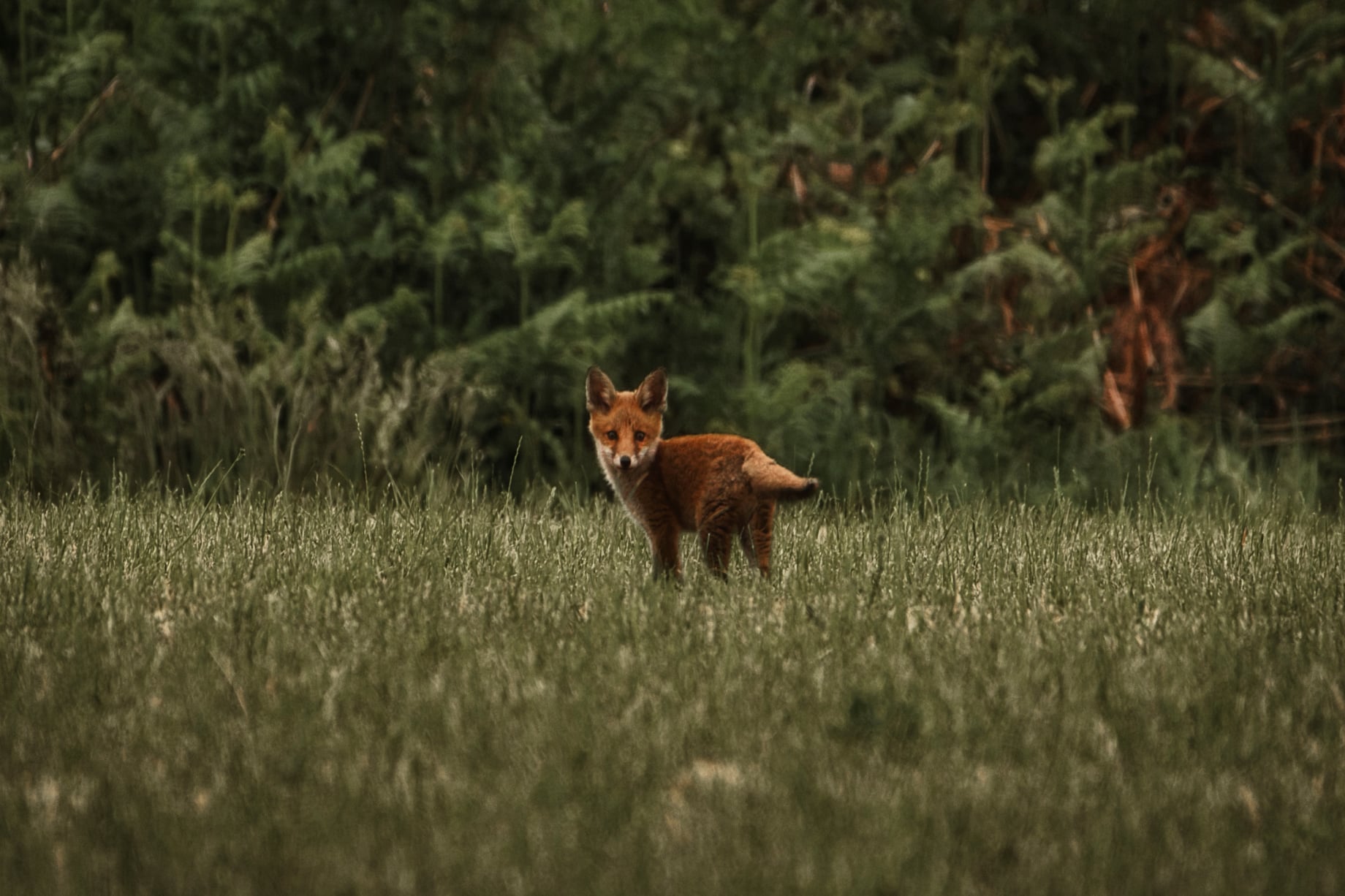 Luke Stackpoole photographer | Luminar Marketplace