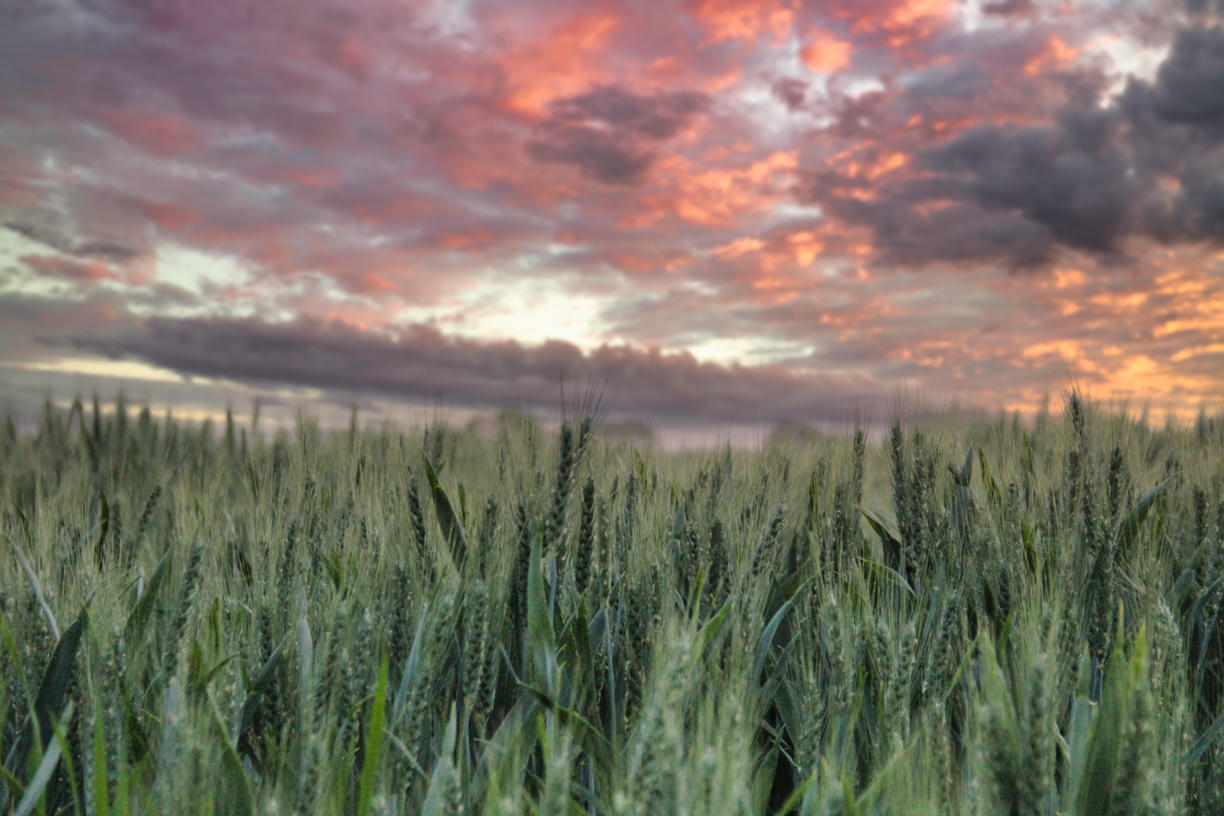 Sherwin Magsino photographer | Luminar Marketplace