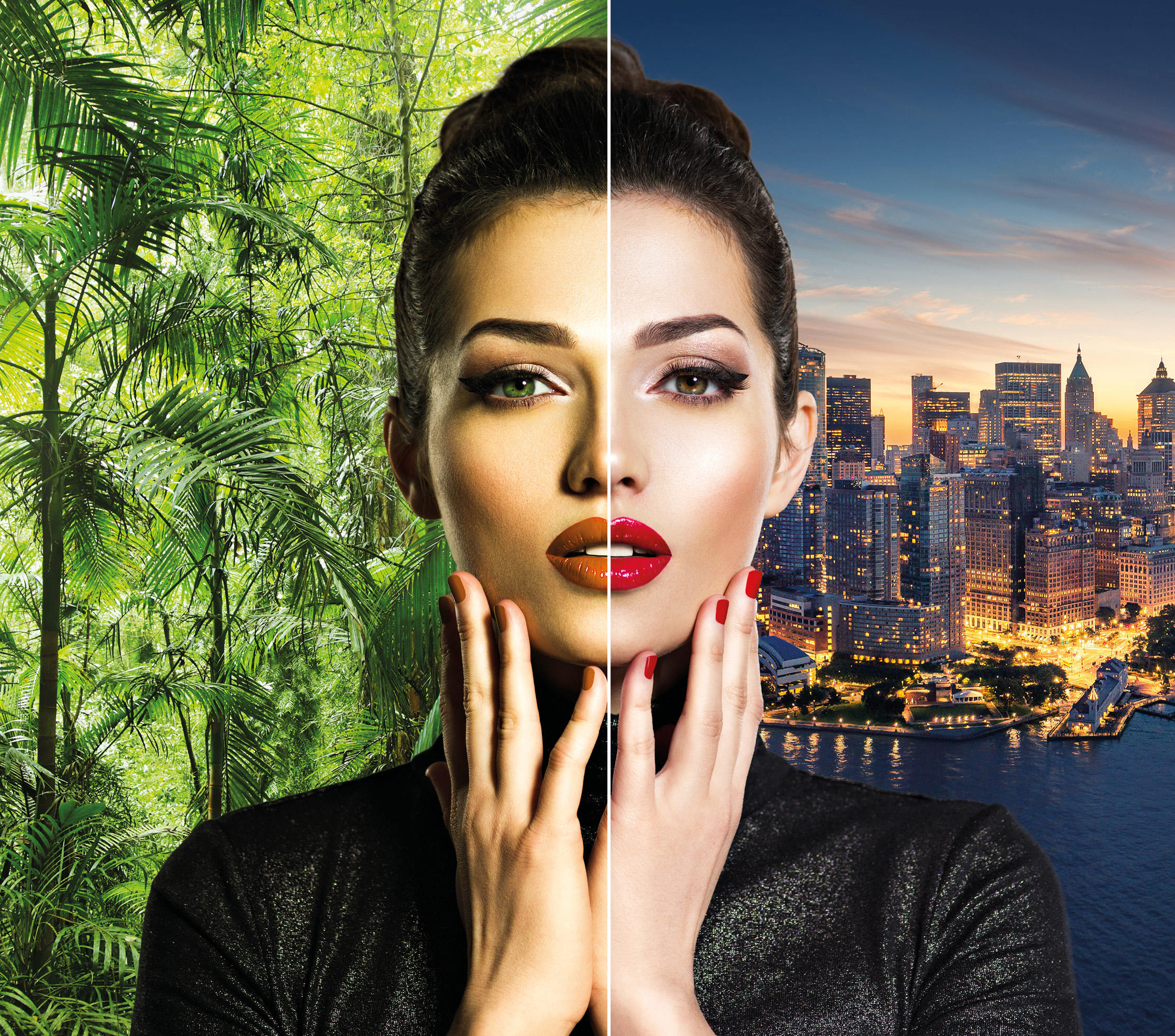 The Luminar Neo Handbook by Nicole S. Young