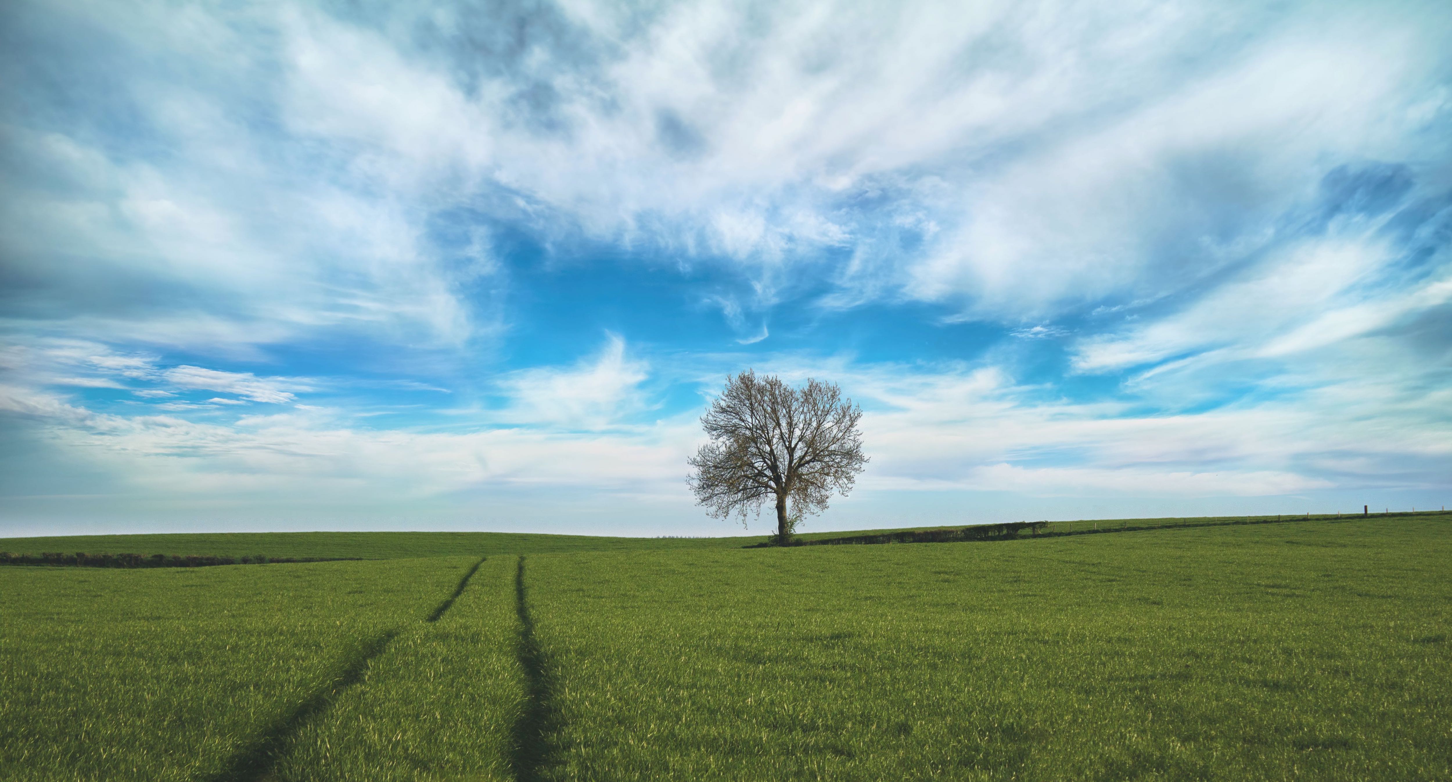 Fairytale Clouds Skies