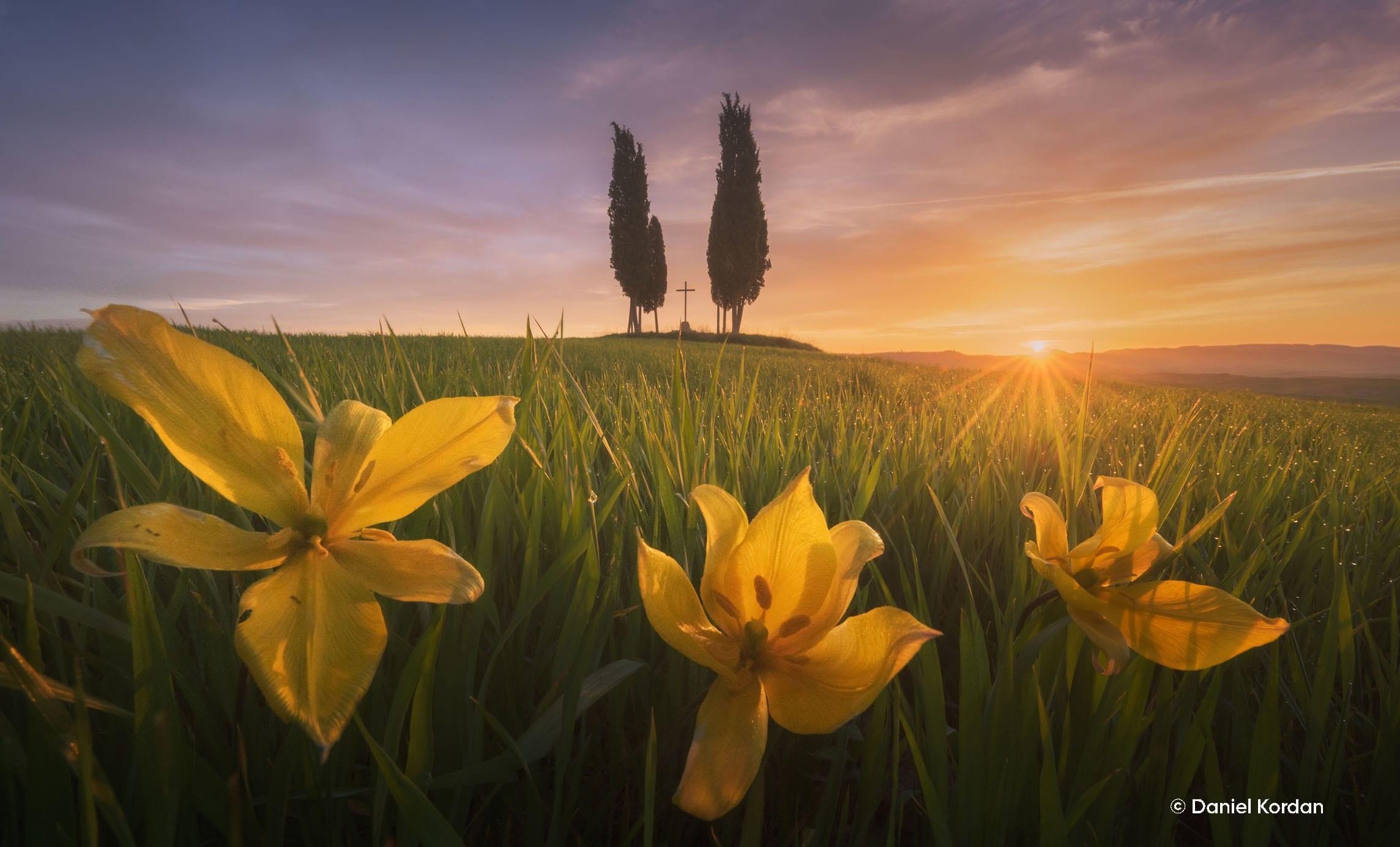 Create a Perfect Golden Hour Shot with Luminar 4