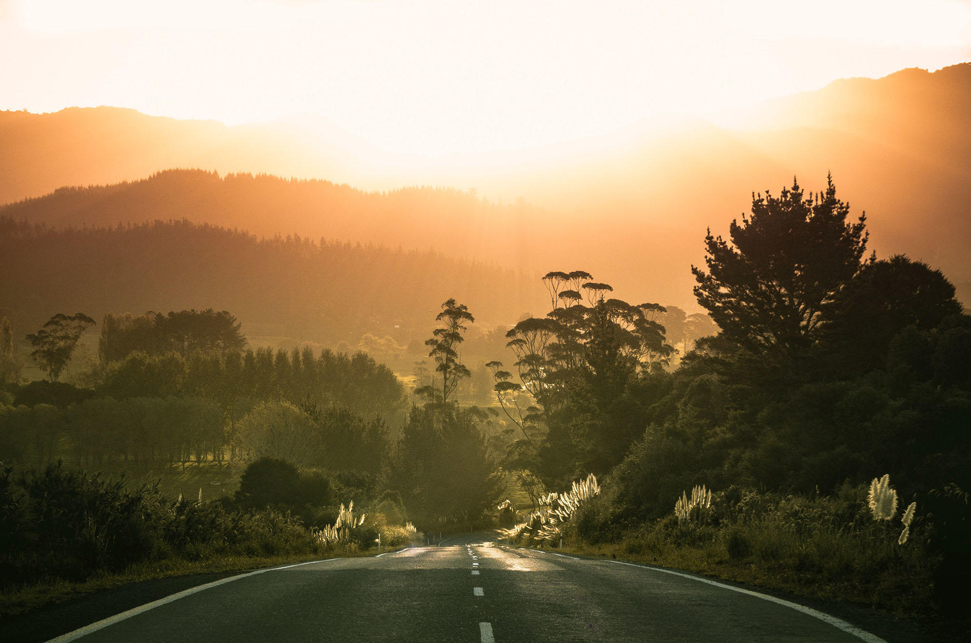 Selective Color – The Best Tool to Control Your Photo’s Colorscape