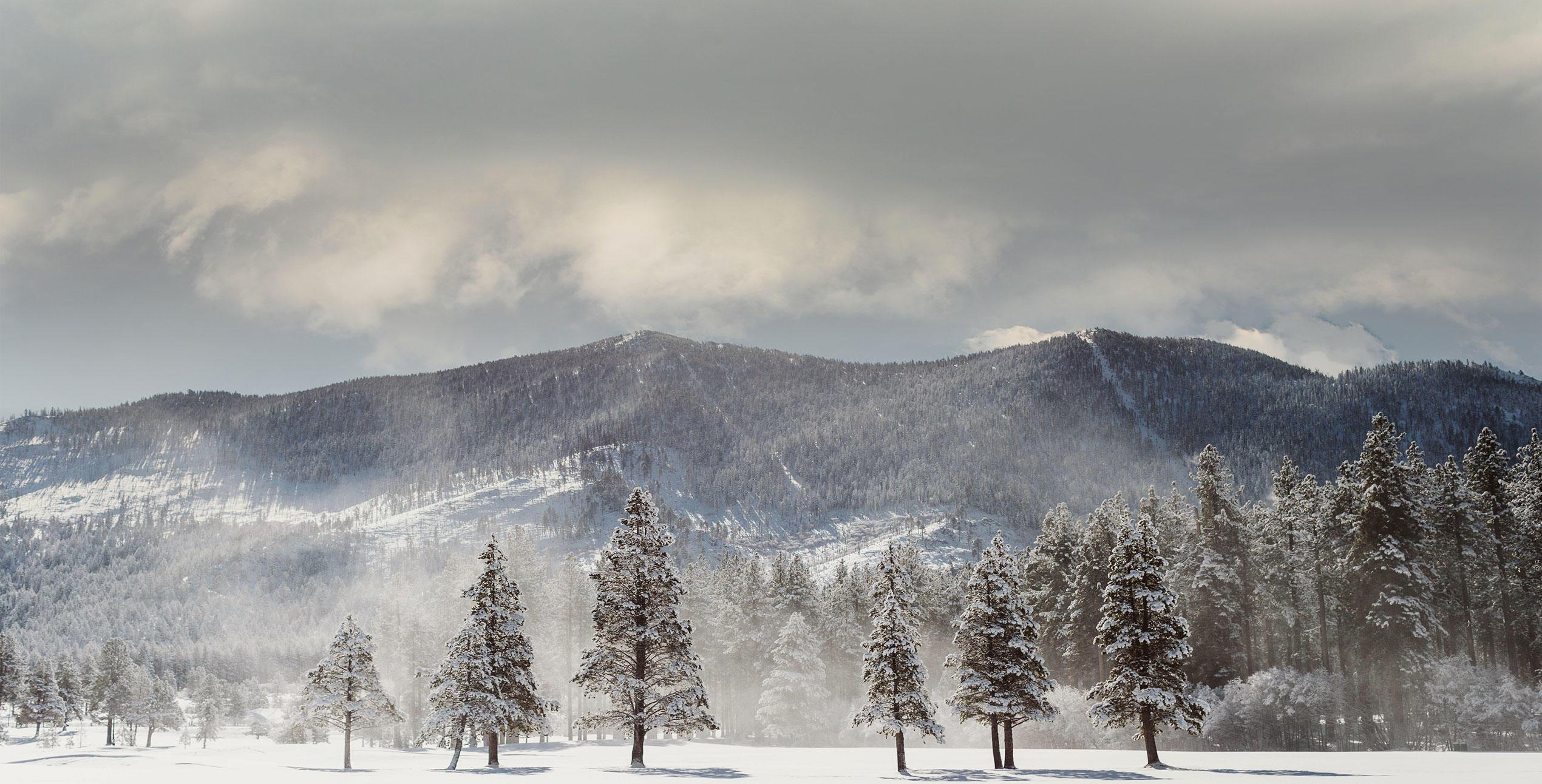 Cutting-edge Photo Editor for Mac & PC | Skylum